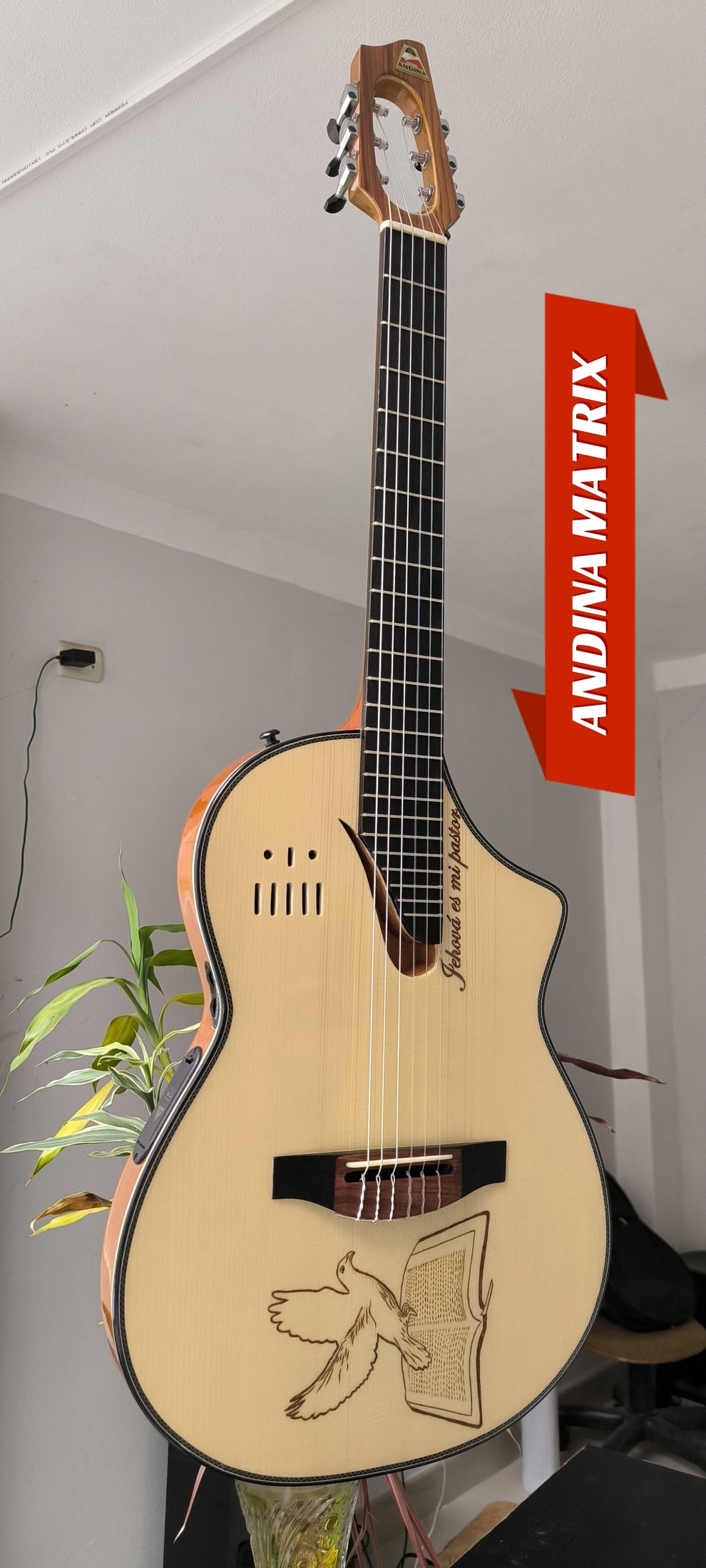 Guitarra Andina Matrix - Semisólida con Sistema Fishman Matrix Infinit ...