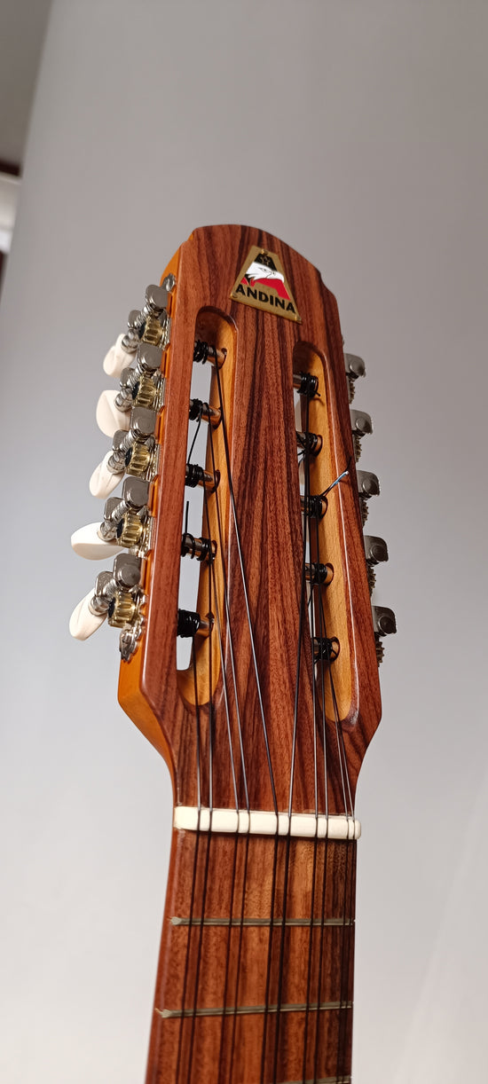 Ronroco Andino – Guitarras Andiana